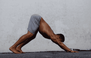 How to do a Hindu Push Up (or Dand) – ModernCalisthenics.com